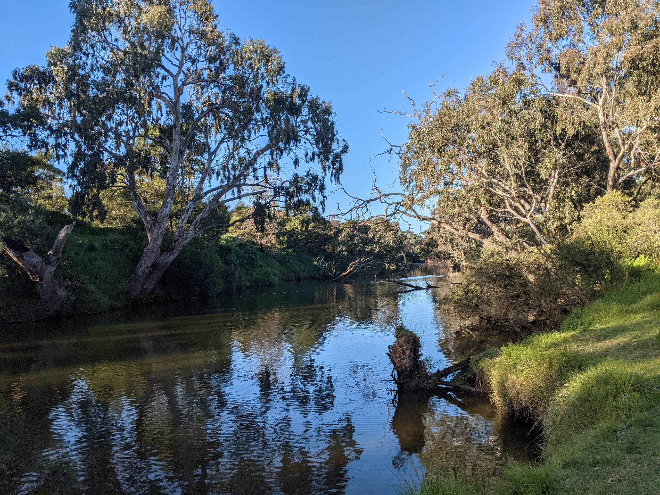 Werribee Riverkeeper on ABC radio - Werribee River Association