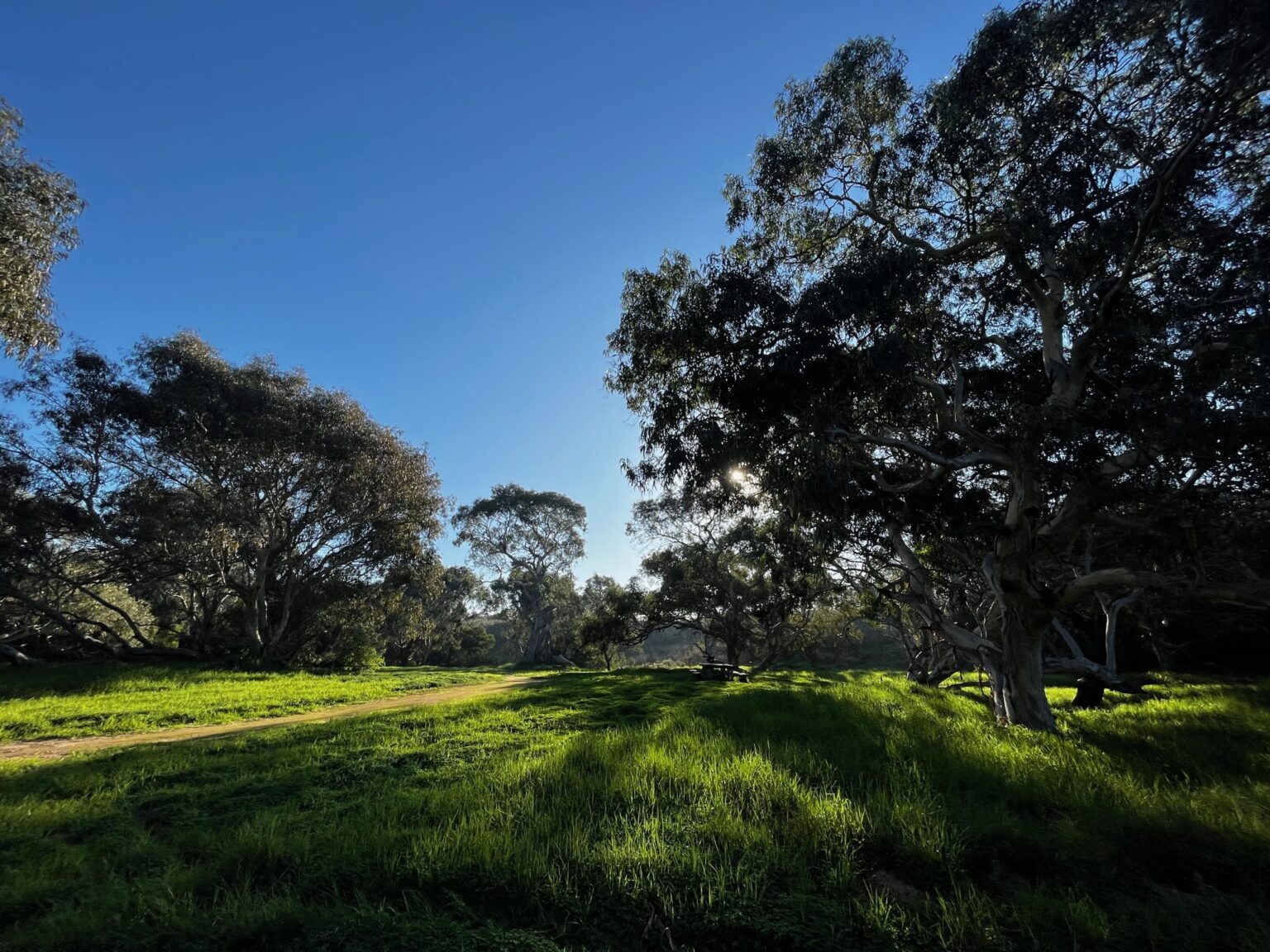 Home - Werribee River Association